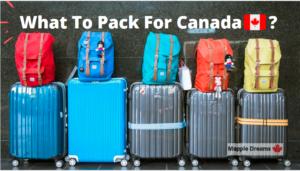 What To Pack For Canada? [New Immigrants Travel Checklist]